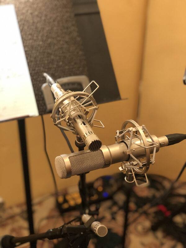 Mark Capps - Peluso Microphone Lab